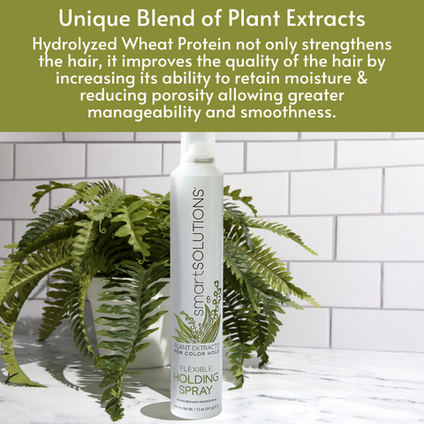 Flexible Holding Spray – Dennis Bernard